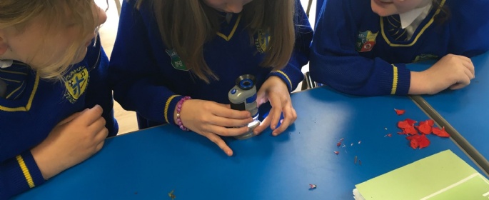 Howard Junior School - Inspire Suite